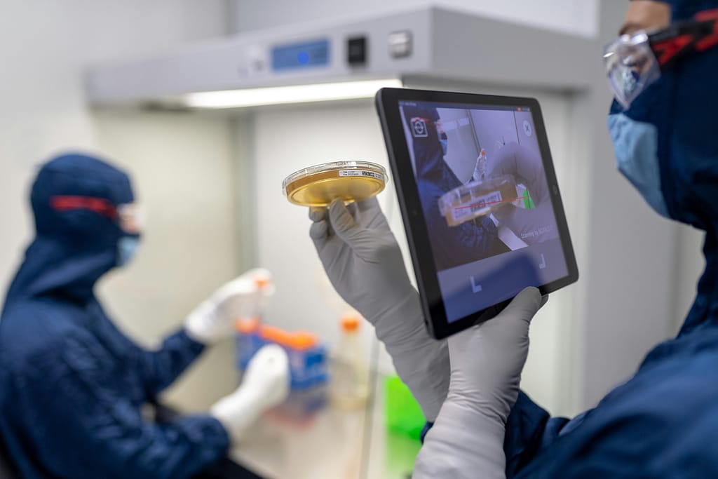 What is an environmental monitoring plan? A brief guide