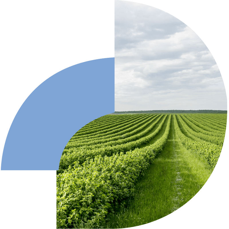 Environmental Tracking Solutions & Devices - Datanet IoT Solutions