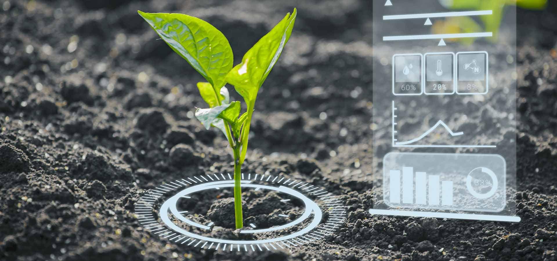 Environmental monitoring systems: all you need to know