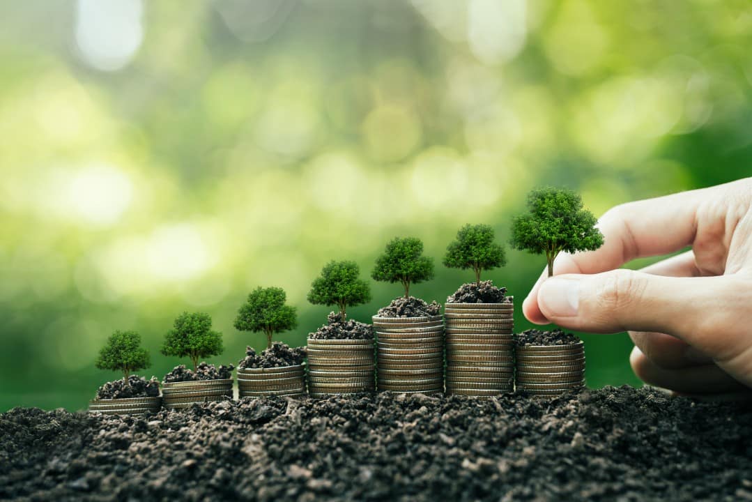 Carbon footprint tracker: how the calculation works